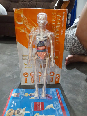 Model Anatomic FLESHTOPIA – Homis